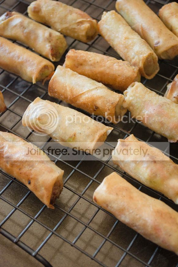 Crispy Pork and Cabbage Spring Rolls – Persevering Joy
